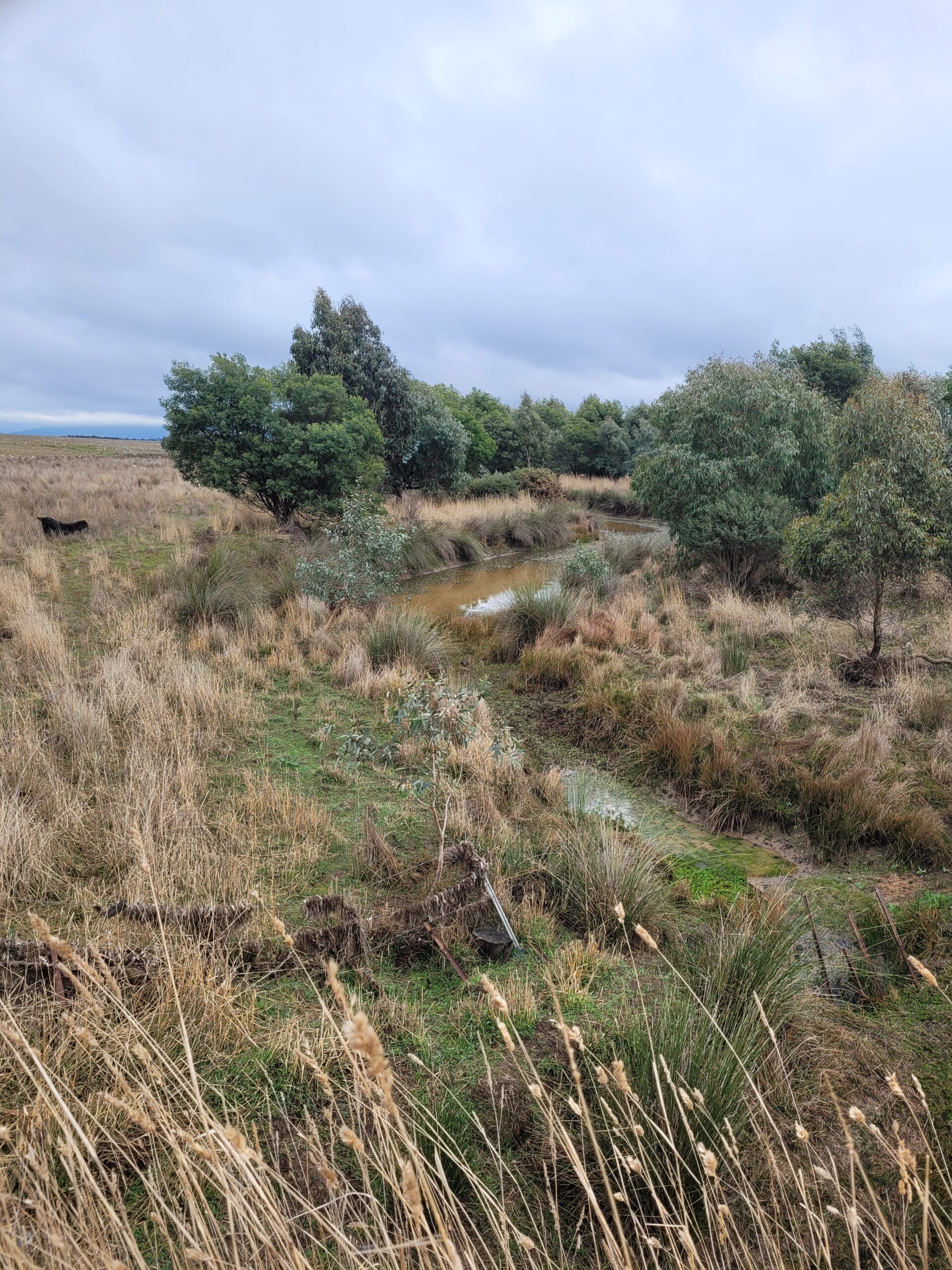 Winter 2023 Newsletter - Upper Hopkins Land Management Group